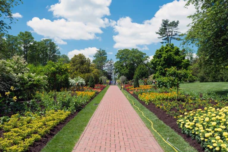 Top Places to See Flowers This Spring - AARP Travel Center Blog